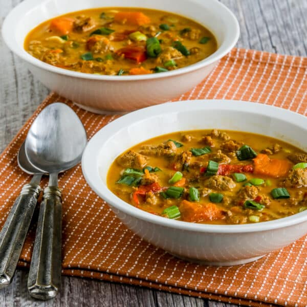 Slow Cooker Turkey Stew – Kalyn's Kitchen