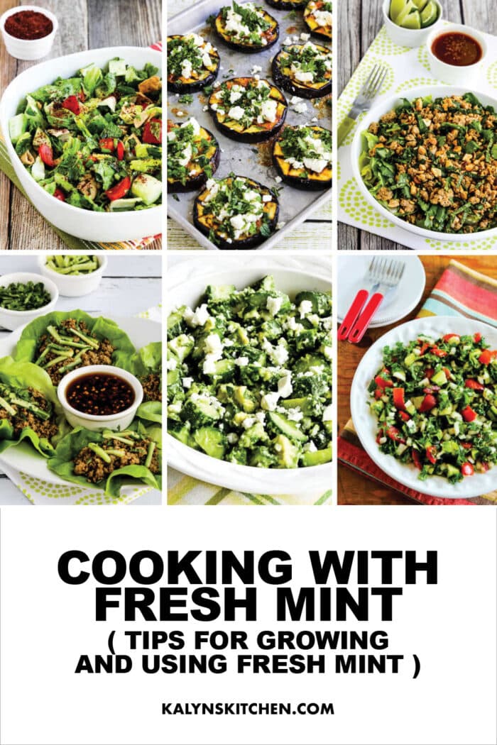 Cooking with Fresh Mint – Kalyn's Kitchen